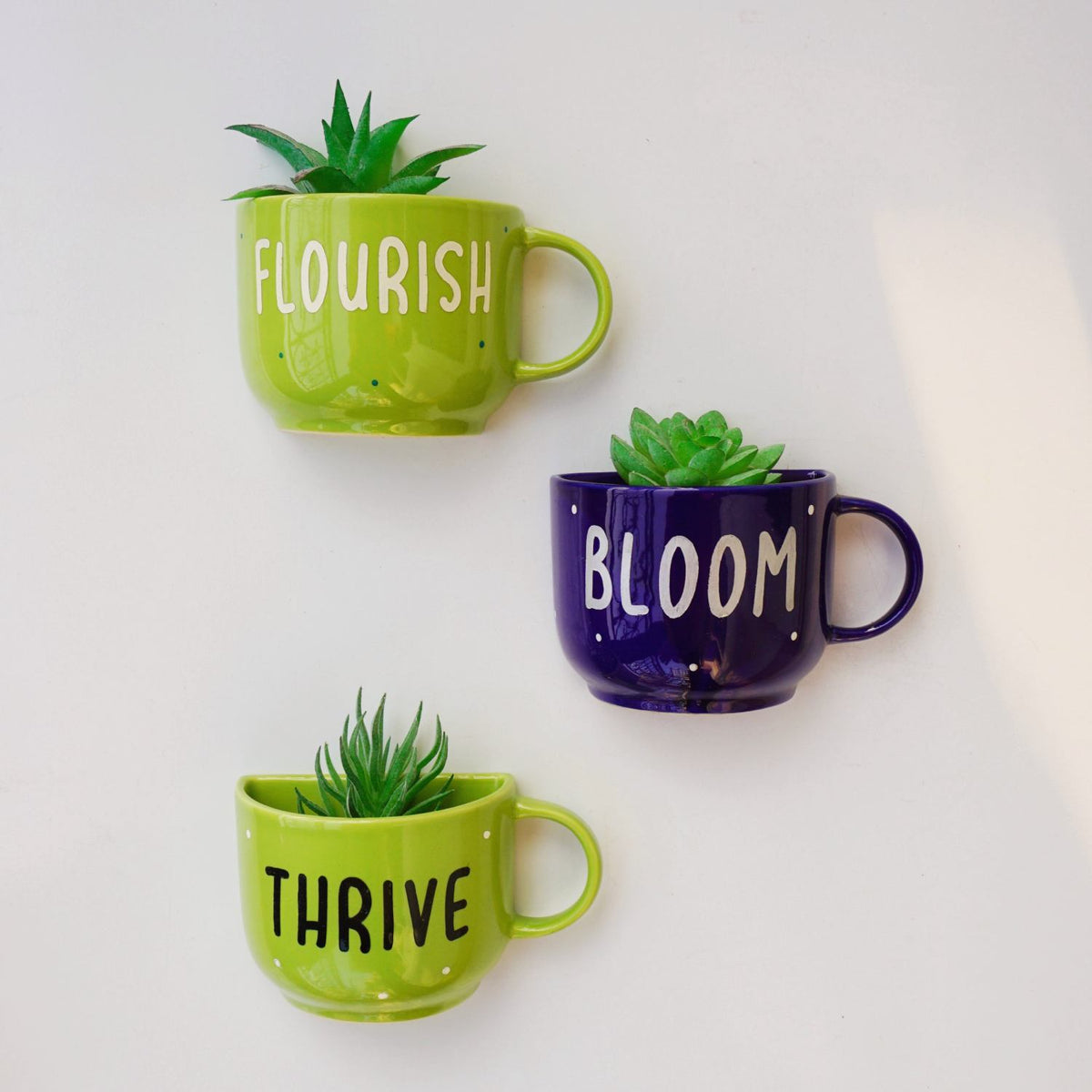 Bloom Flourish Thrive | Ceramic Wall Planter | Table Accessory | Perso ...