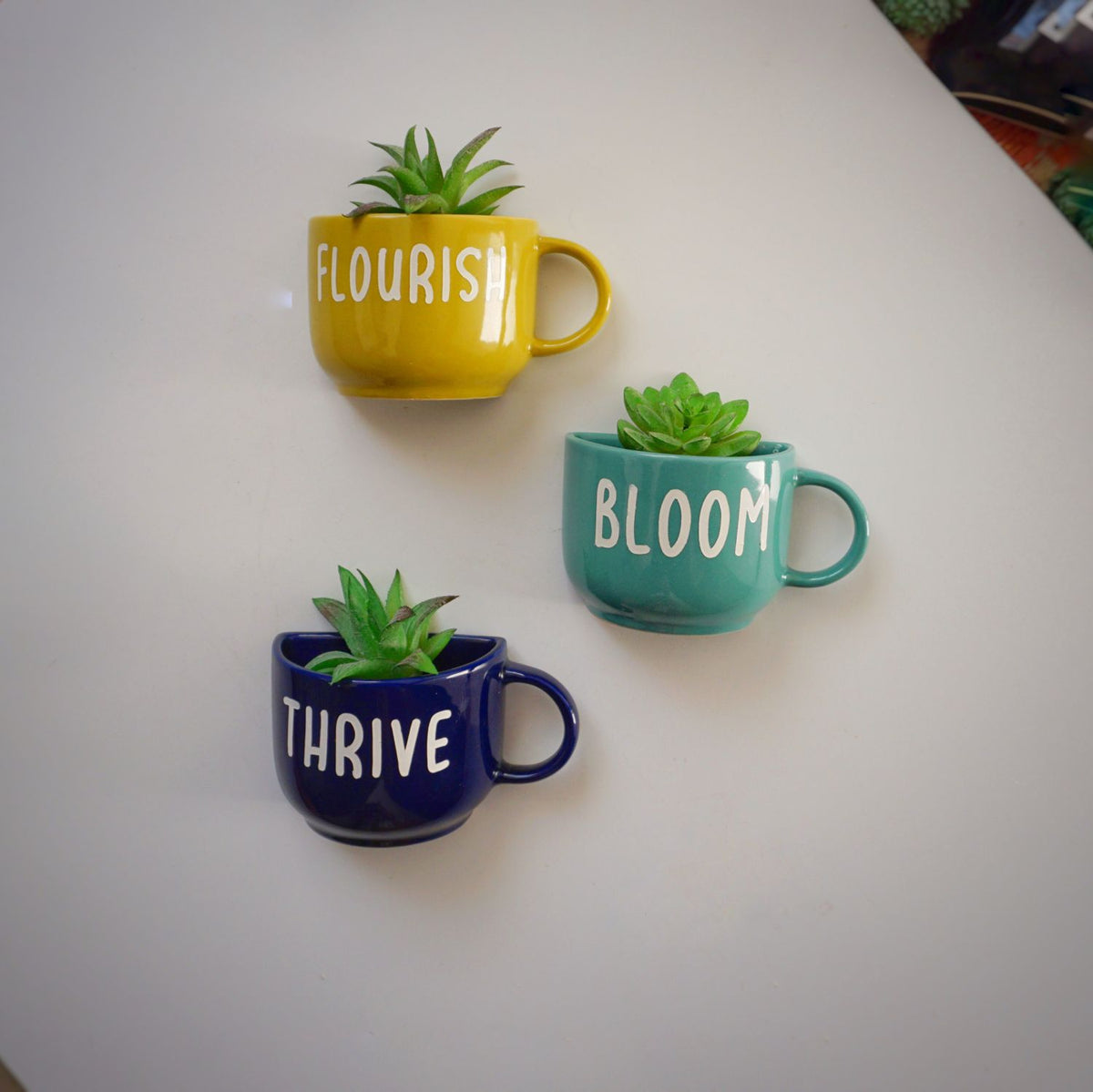 Bloom Flourish Thrive | Ceramic Wall Planter | Table Accessory | Perso ...